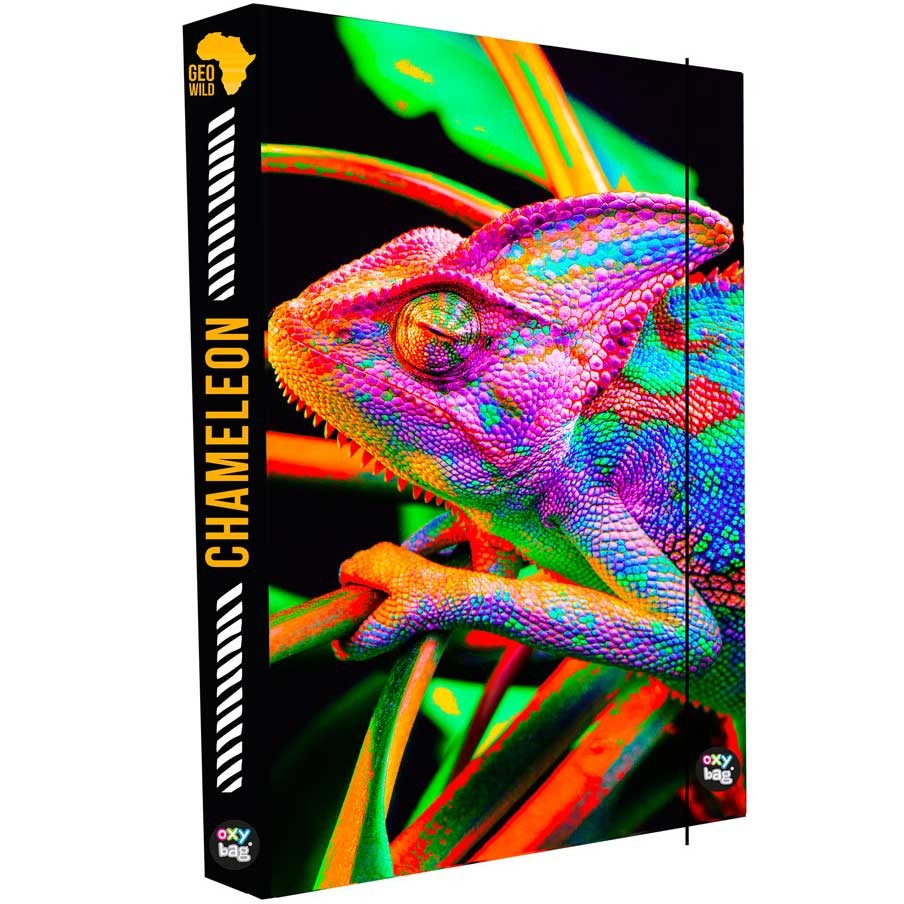 Box na sešity A4 Jumbo Chameleon | DetskyEshop.cz