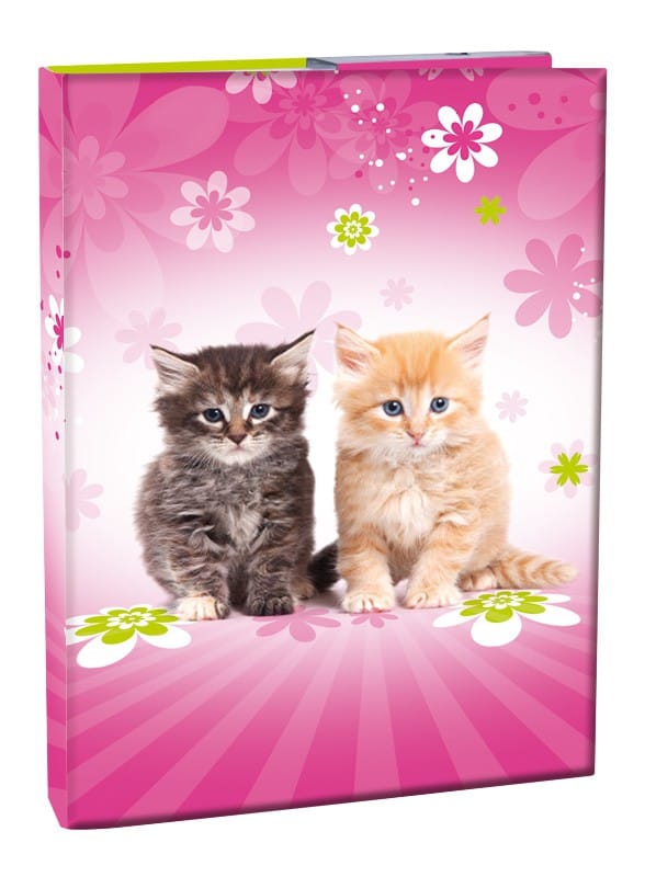Box na sešity Cats A4 | DetskyEshop.cz